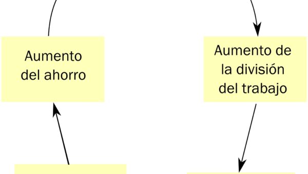 La División del Trabajo según Adam Smith | PIAC