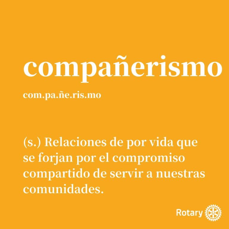 Compañerismo: Clave para el Éxito Laboral | PIAC